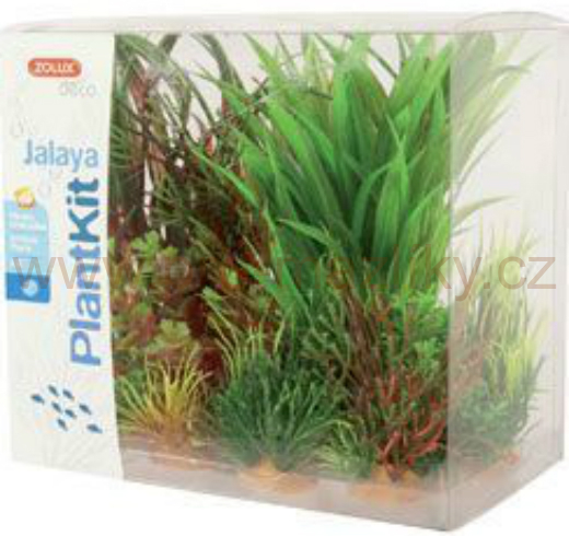 ZOLUX SET AKVARIJNÍCH ROSTLIN JALAYA 3